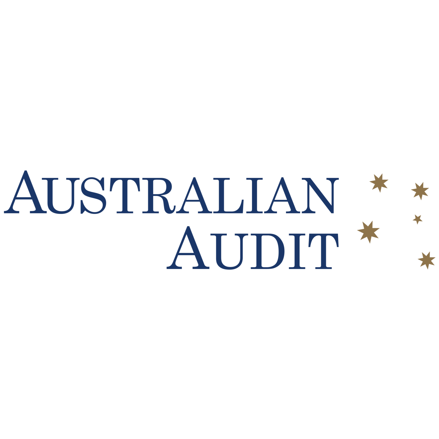 Registered Auditor - Australian Audit - Australian Catholic ...
