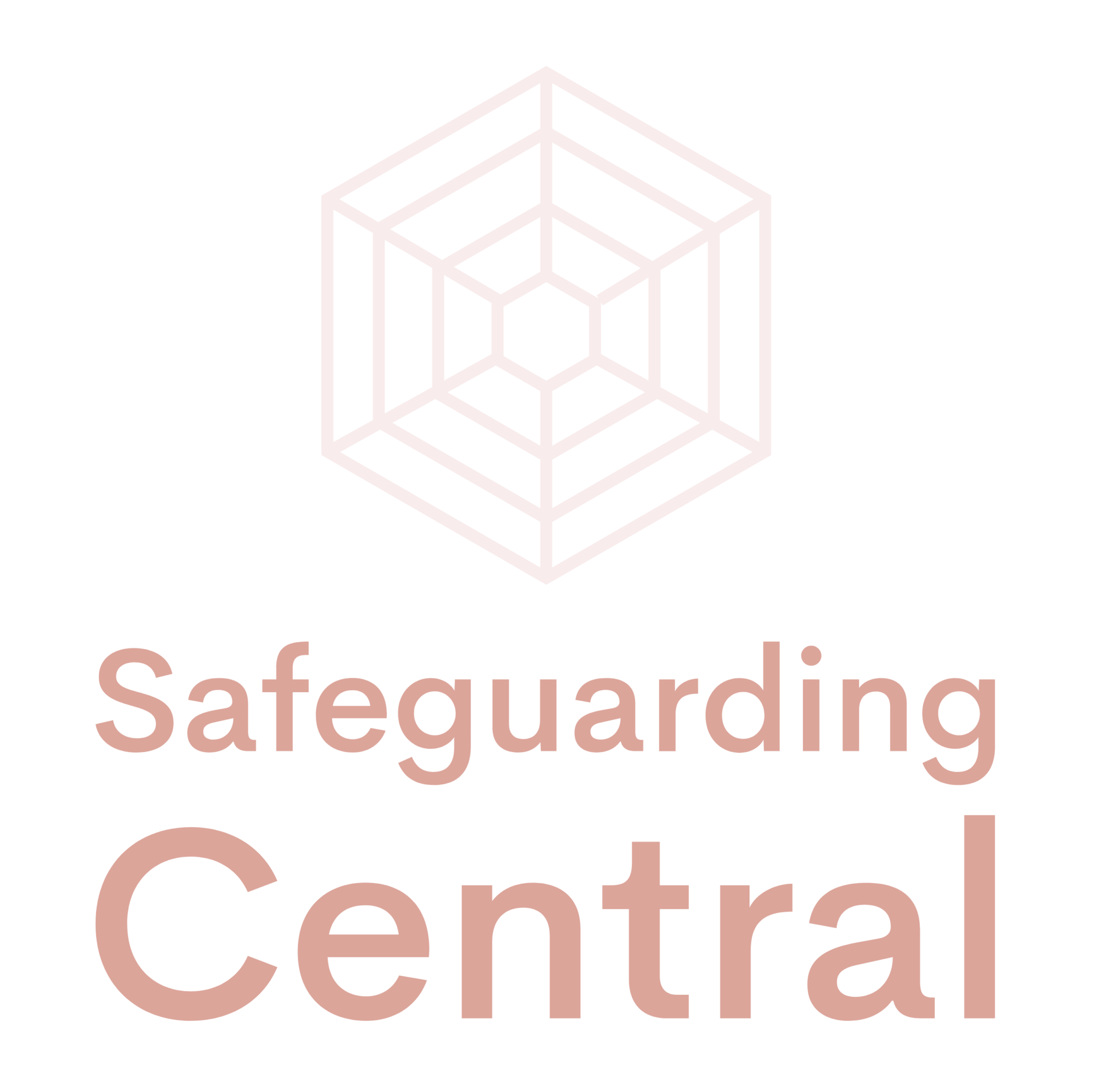 Registered auditor - Safeguarding Central - Australian Catholic ...
